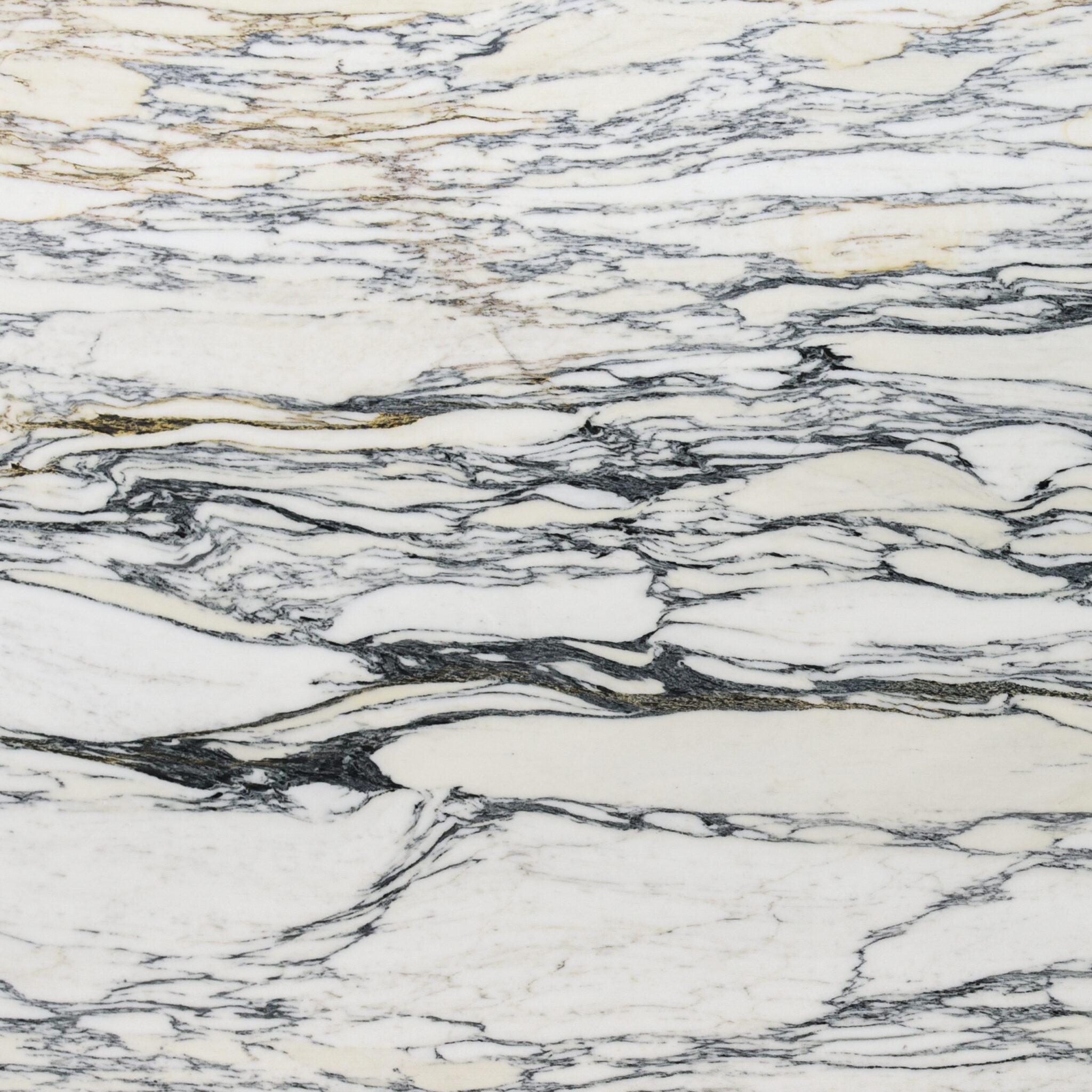 Arabescato Corchia Marble | Premium Marble Slab | Avant Stone