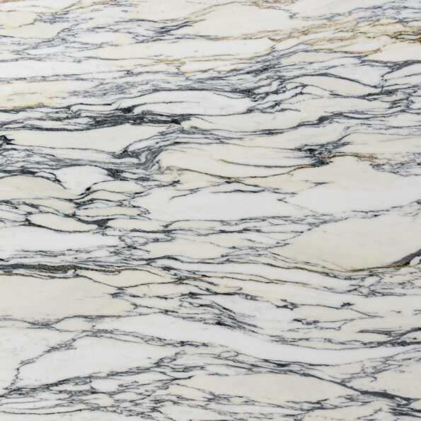 Arabescato Corchia Marble | Premium Marble Slab | Avant Stone