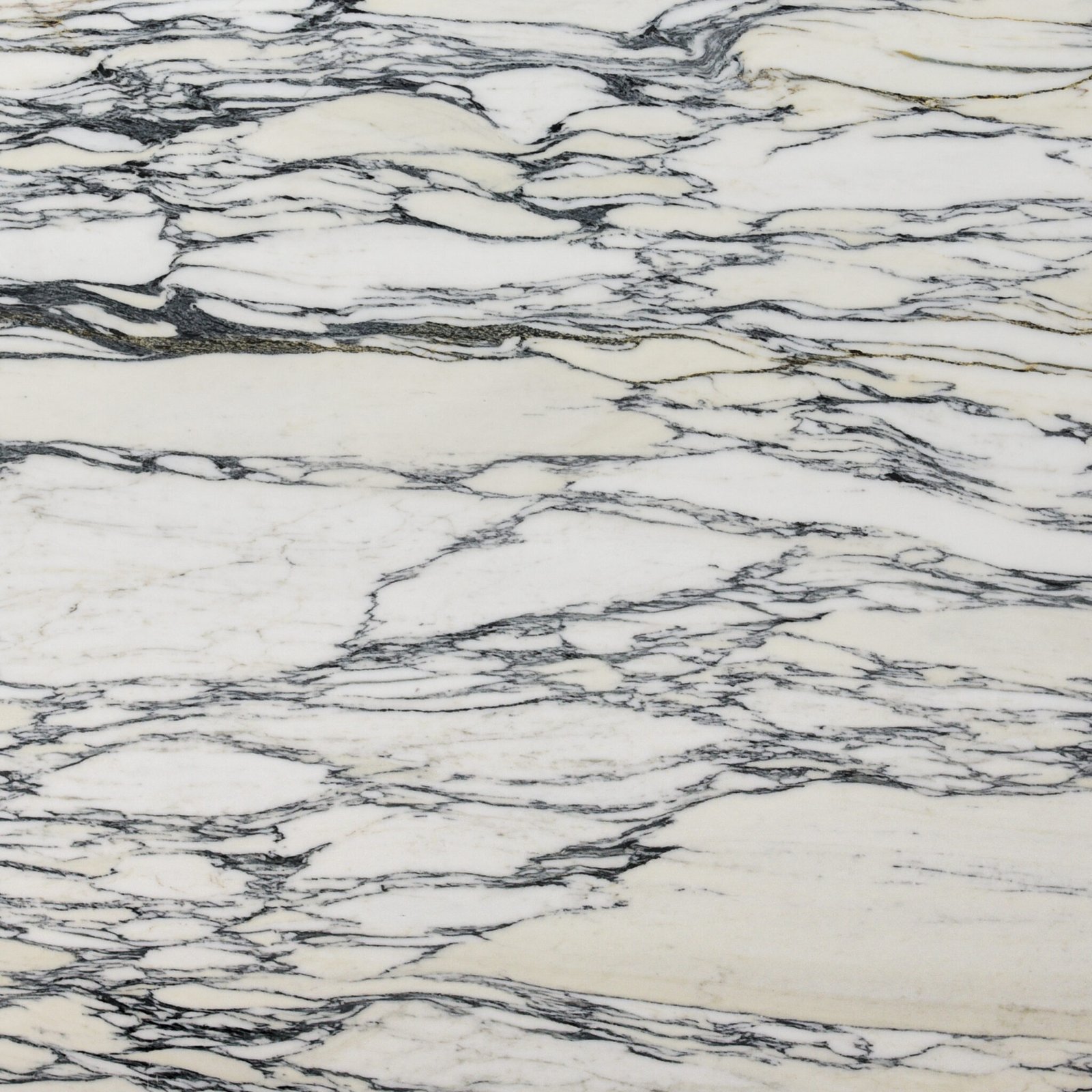 Arabescato Corchia Marble | Premium Marble Slab | Avant Stone