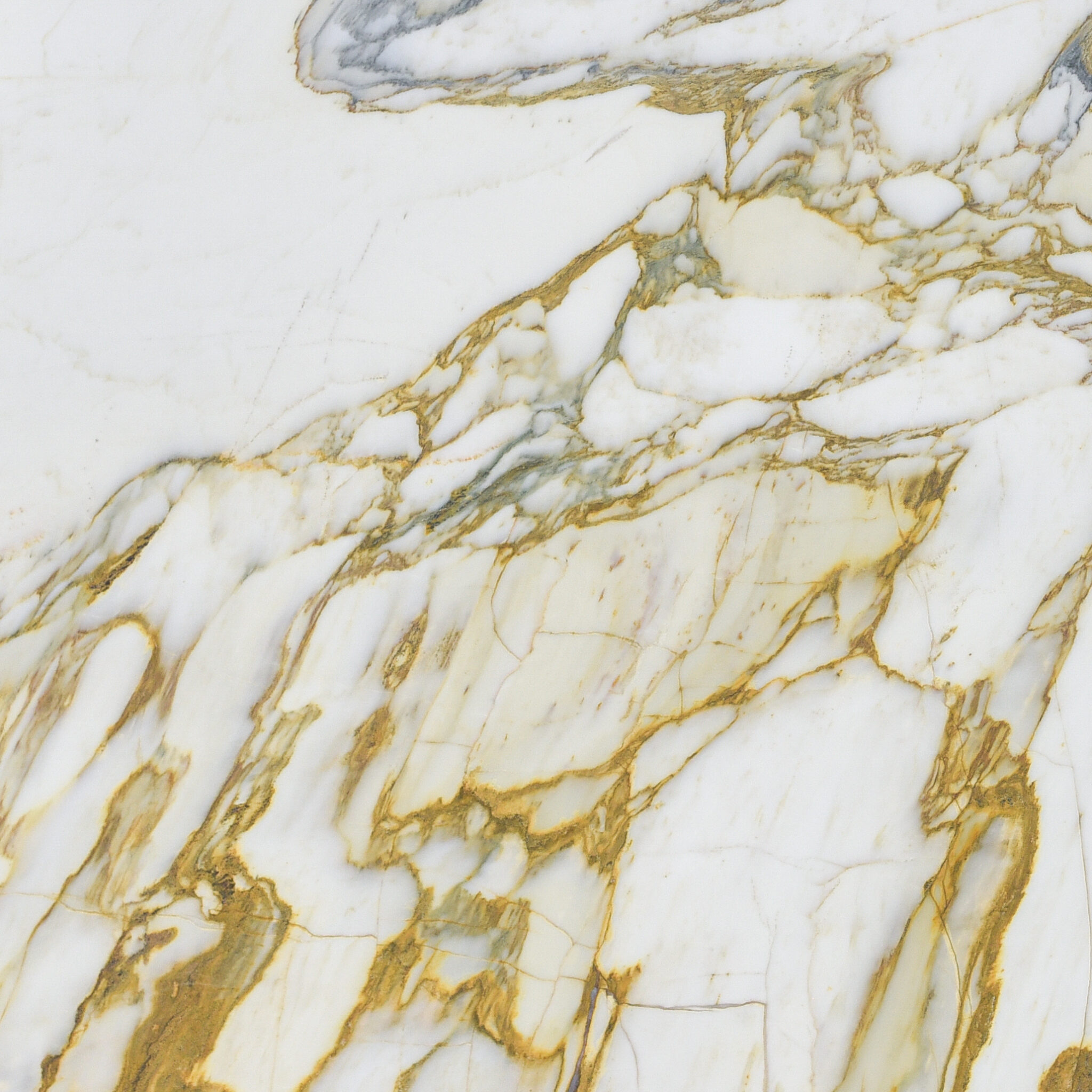 Arabescato Gold Marble | Premium Marble Slab | Avant Stone