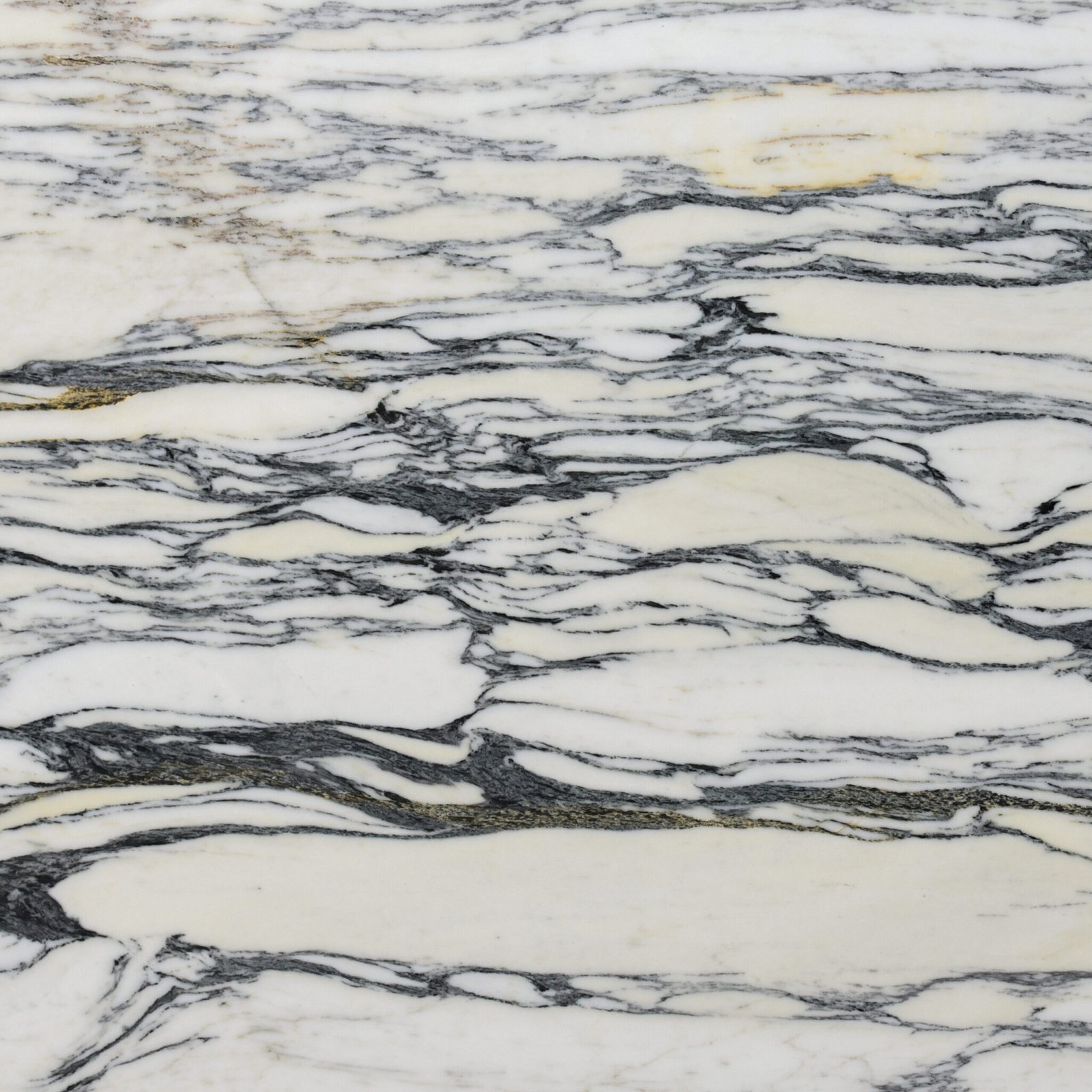 Arabescato Corchia Marble | Premium Marble Slab | Avant Stone