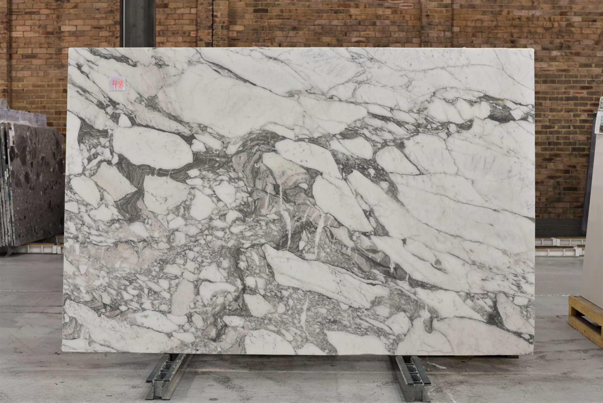 Arabescato Vagli Marble | Premium Marble Slab | Avant Stone