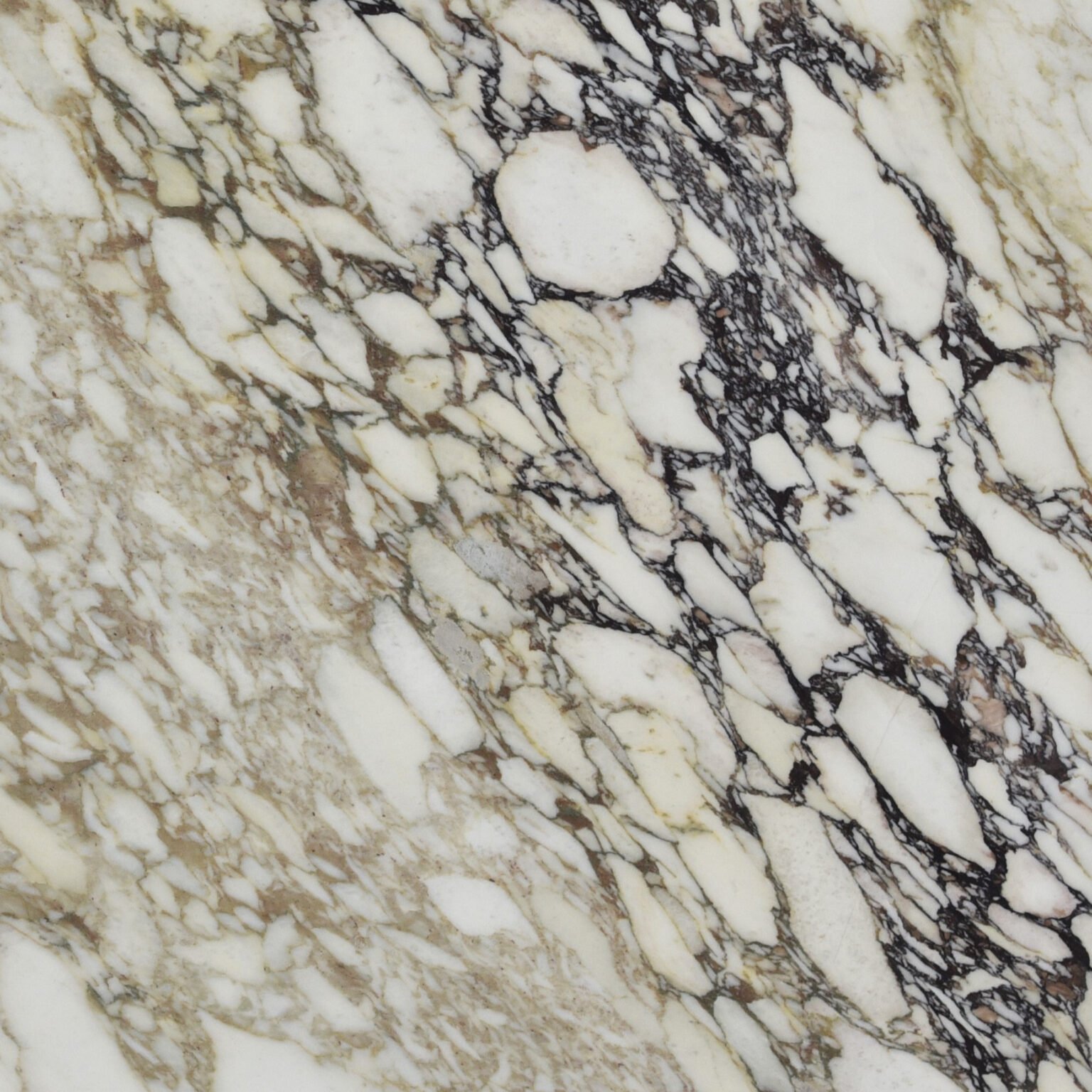 Calacatta Monet Marble| Premium Marble Slab | Avant Stone