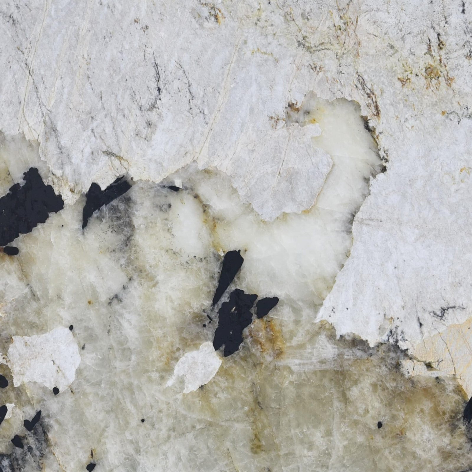 Patagonia Quartzite | Premium Quartzite Slab | Avant Stone