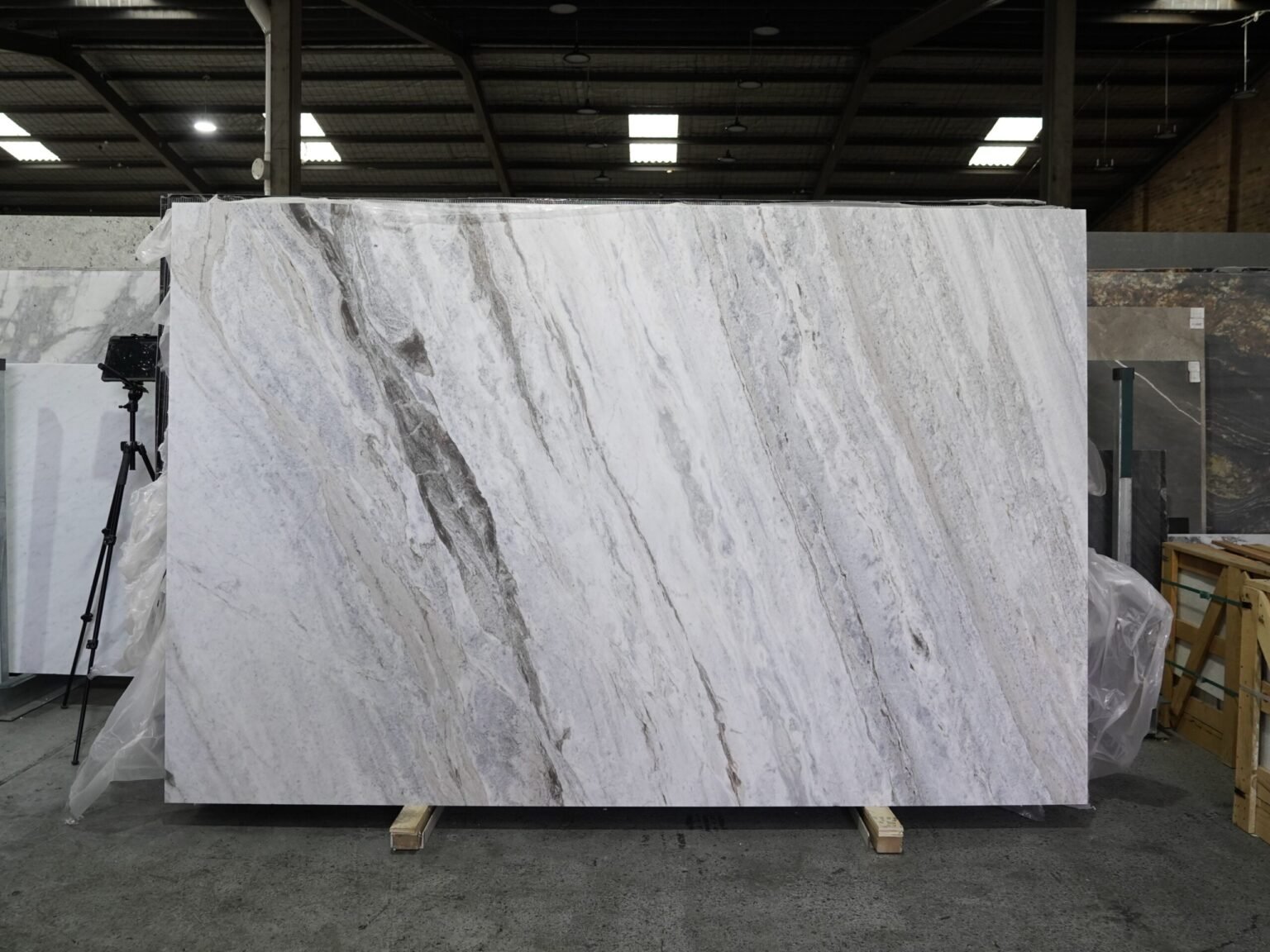 Palissandro Nuovo Marble| Premium Marble Slab | Avant Stone