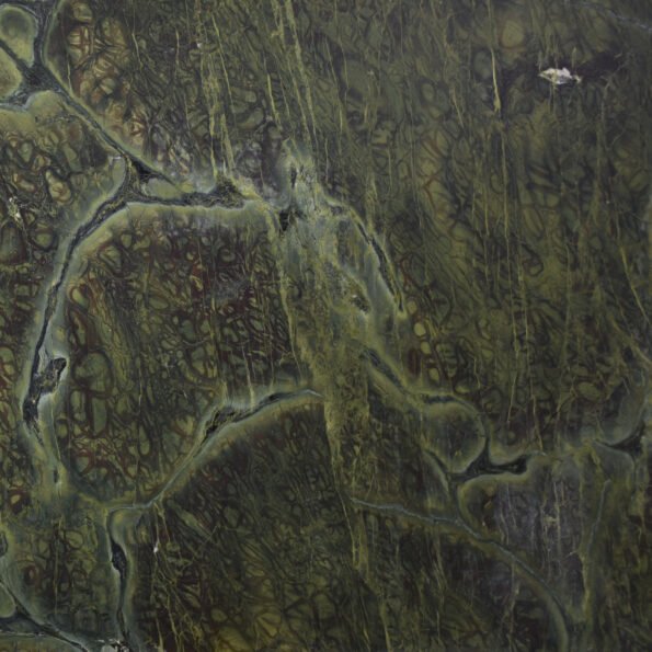 Vittoria Reggia Quartzite | Premium Quartzite Slab | Avant Stone