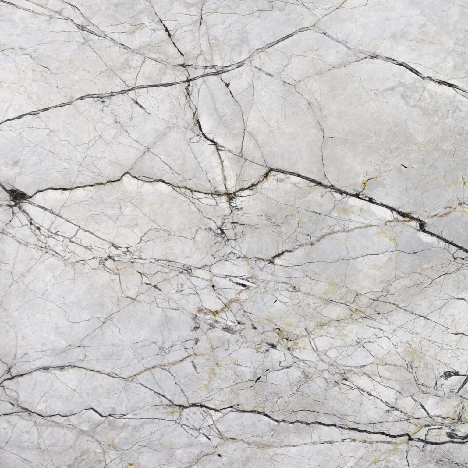 Silver Root Marble| Premium Marble Slab | Avant Stone