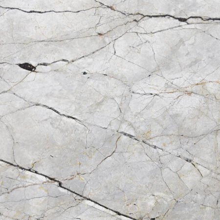 Silver Root Marble| Premium Marble Slab | Avant Stone