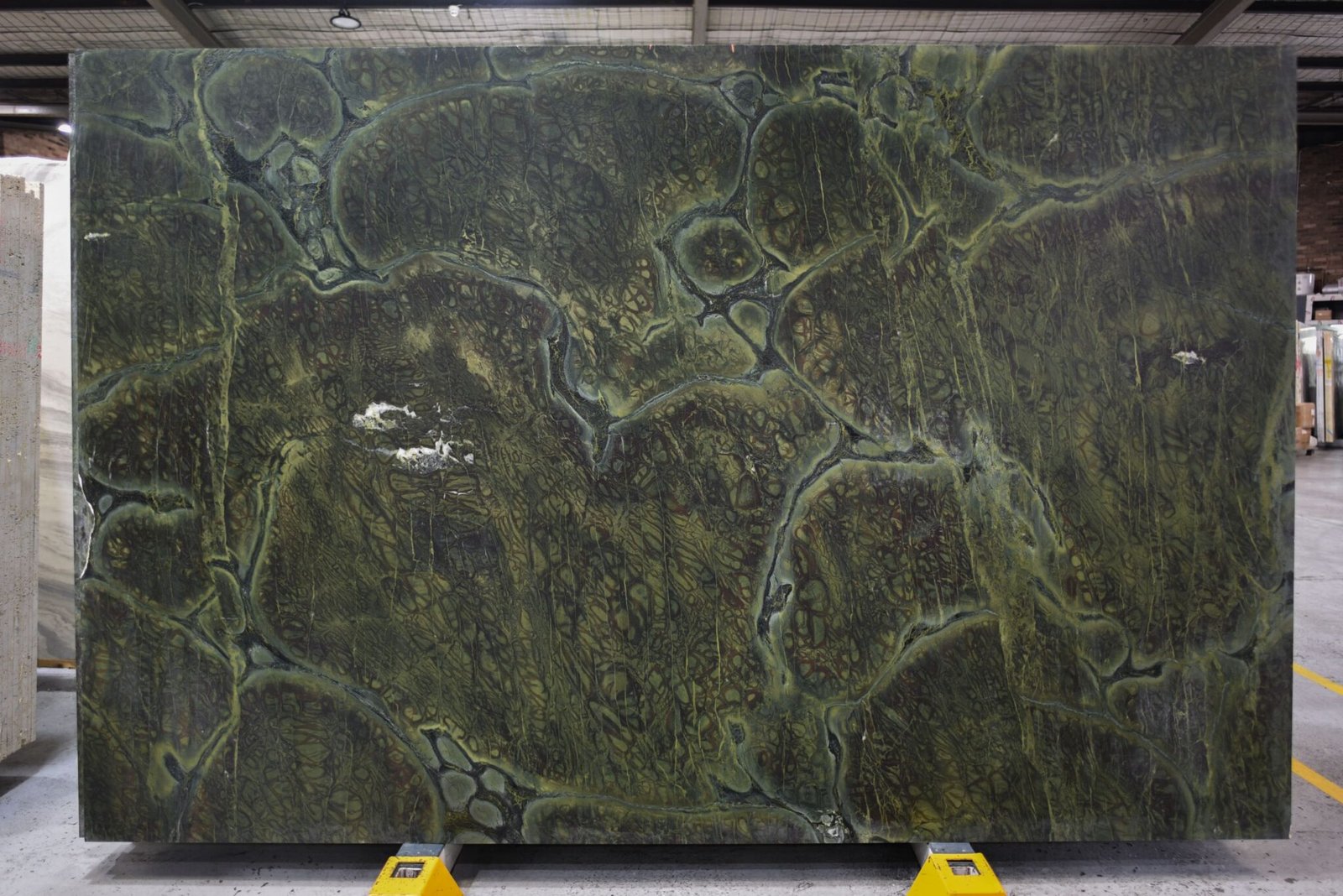 Vittoria Reggia Quartzite | Premium Quartzite Slab | Avant Stone